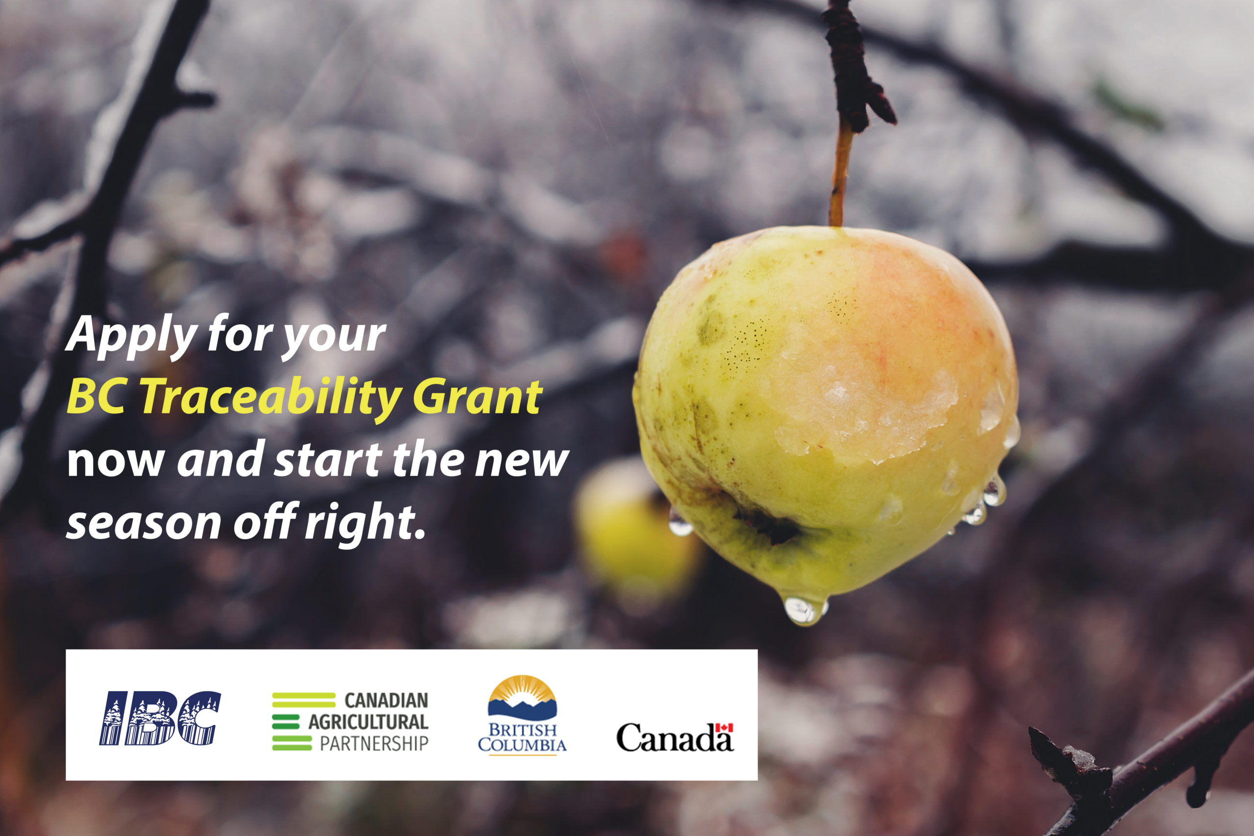 2020 BC Traceability Grants - IBC